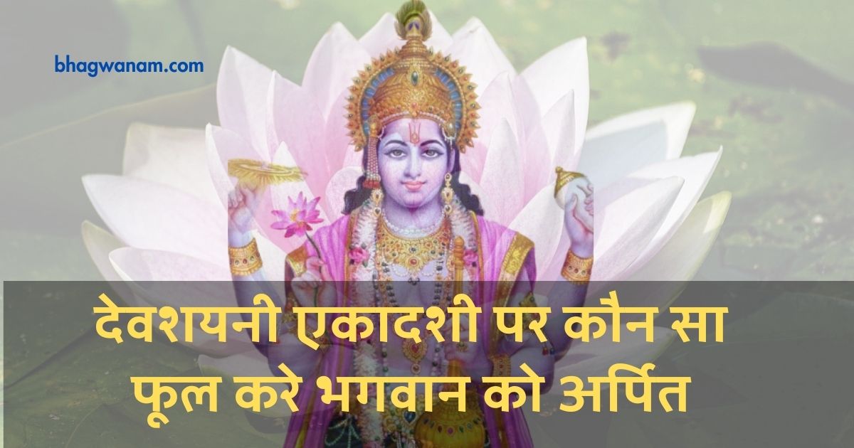 देवशयनी एकादशी पर कौन सा फूल करे भगवान को अर्पित | Best Flower ...